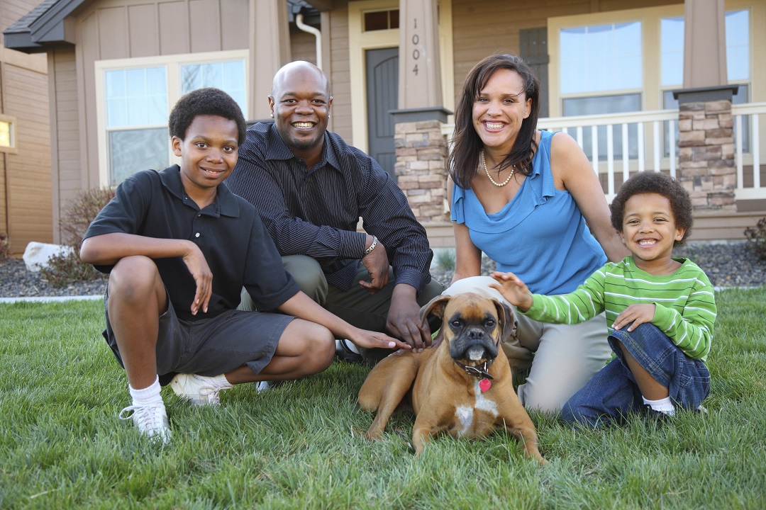 Why You Should Offer Pet Insurance to Your Employees - MWE Partnership Why You Should Offer Pet Insurance to Your Employees - MWE Partnership